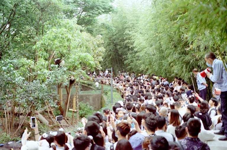 China - Language, Culture, Customs And Etiquette